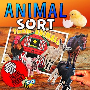 Animal Sorting | Animal Theme | Farm Animals | House Pets | Center ...