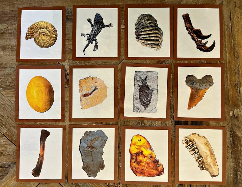 Dinosaur Dig Sensory Bin | Fossil Activity | Sensory Bin Activity ...