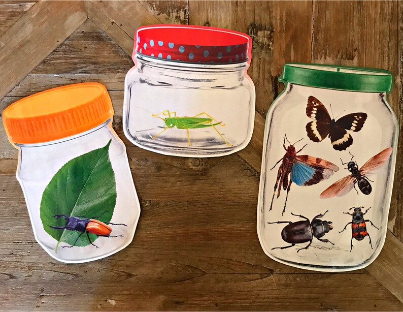 Bug Collector Dramatic Play Bug Activity Pretend Play Bug Bulletin ...