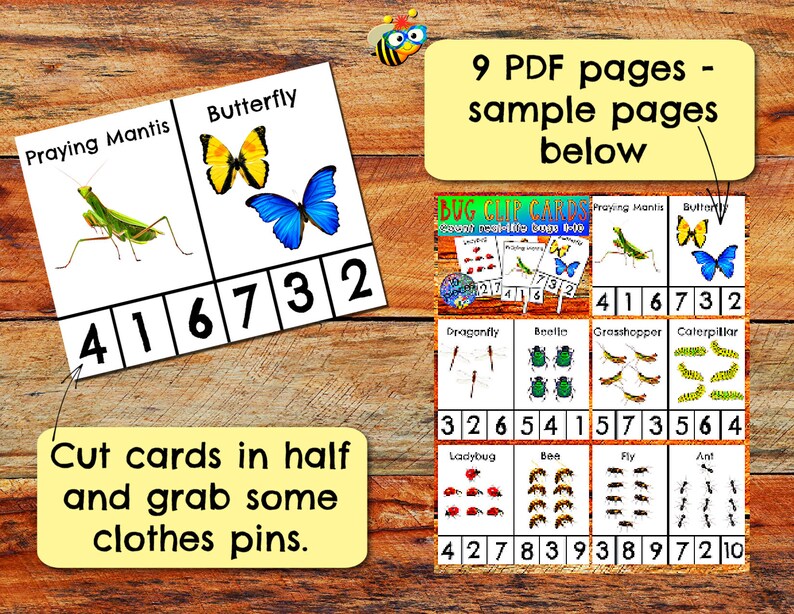 Bug Count and Clip Cards | Count and Clip Cards | Bugs | Printables ...