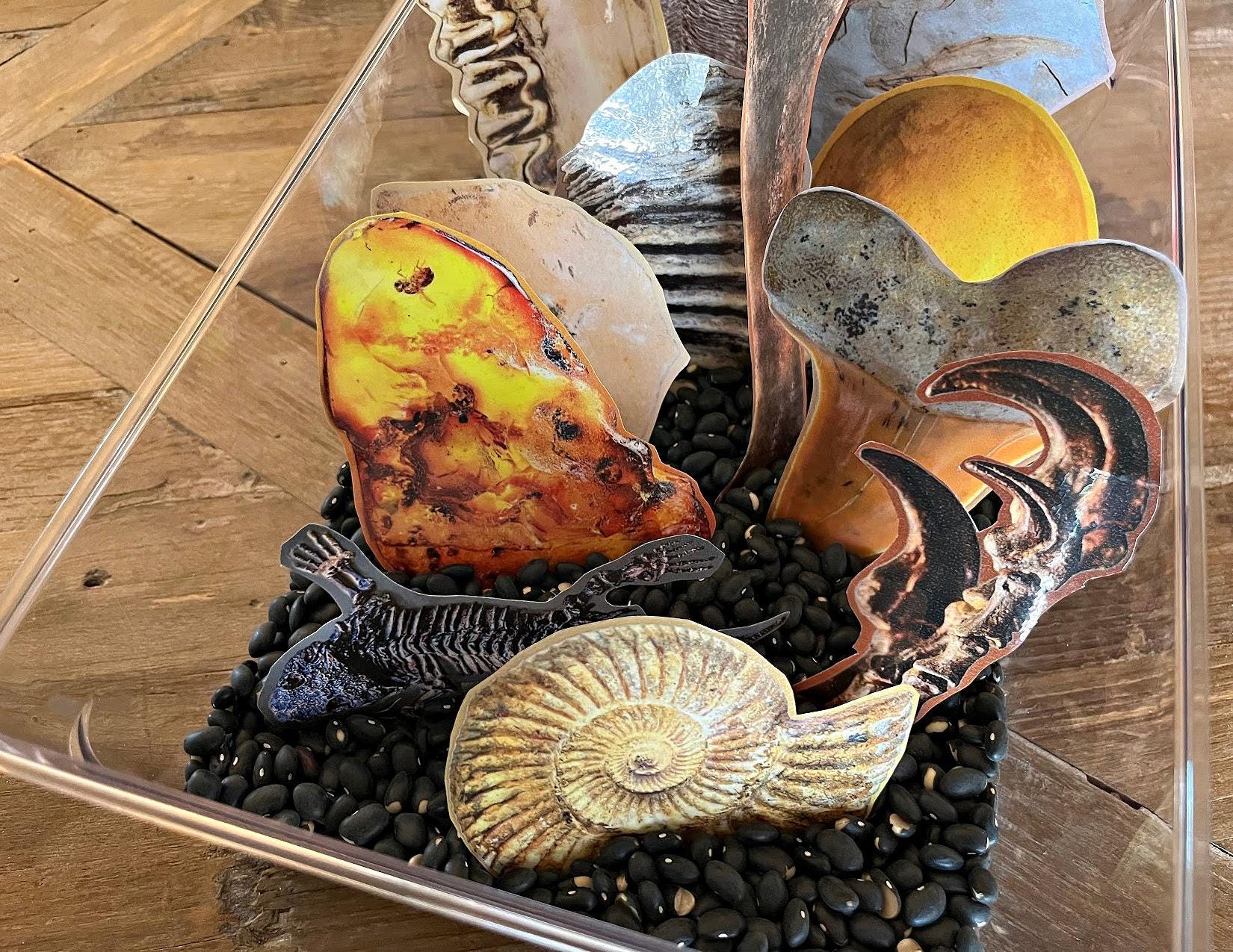 Dinosaur Dig Sensory Bin | Fossil Activity | Sensory Bin Activity ...