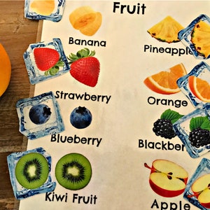 Preschool Counting | Counting Activity | Fruit Smoothie Activity | Prek ...