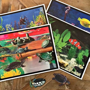 Pet Shop Dramatic Play | Pet Store Playset | Pretend Pets | Pet ...