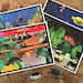 Pet Shop Dramatic Play | Pet Store Playset | Pretend Pets | Pet ...