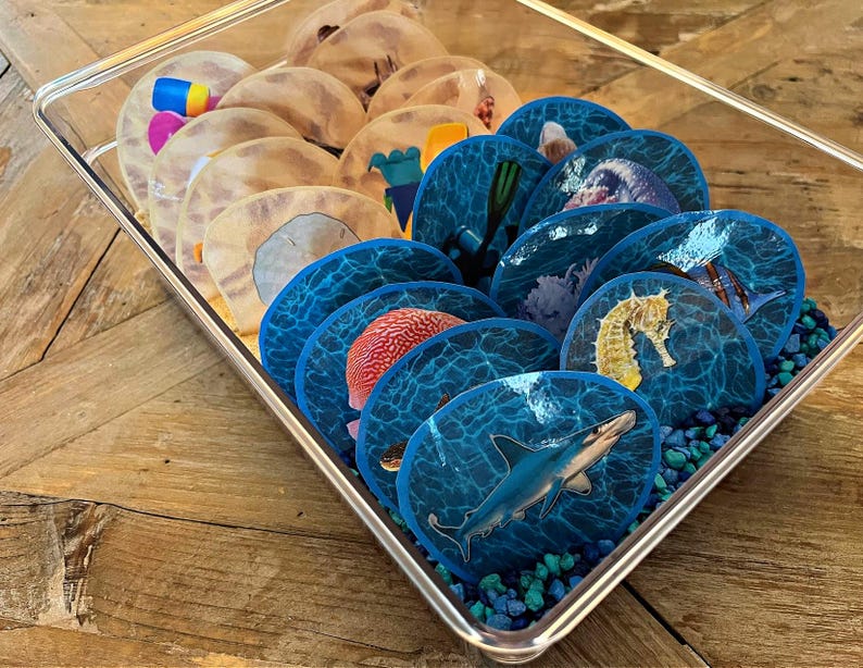 Sand and Sea Sorting Sensory Bin | Ocean Objects Sorting | Sensory Bin ...