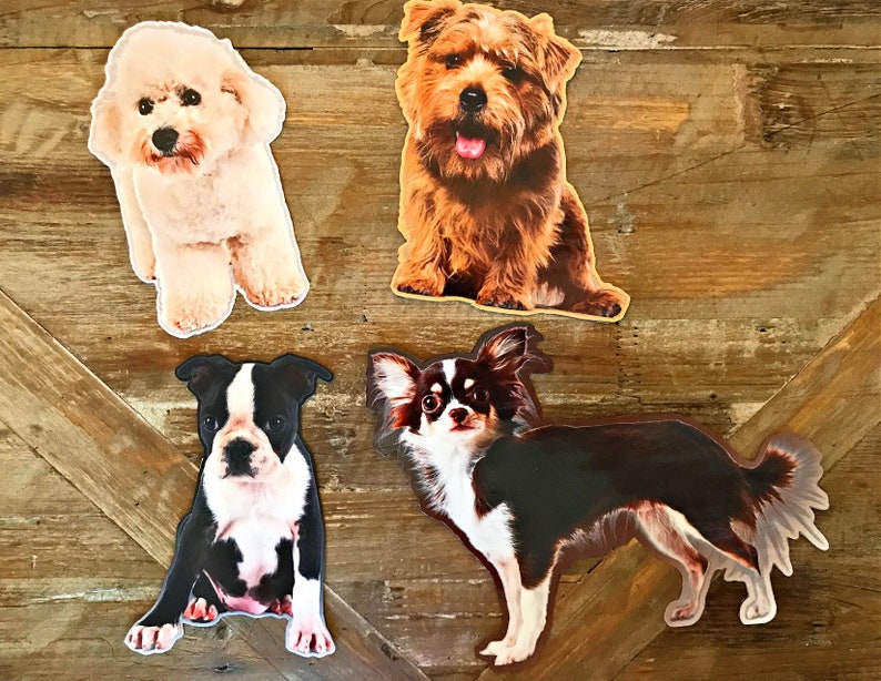 Dog Show Dramatic Play | Pretend Play Dogs | Printables| Preschool Play ...