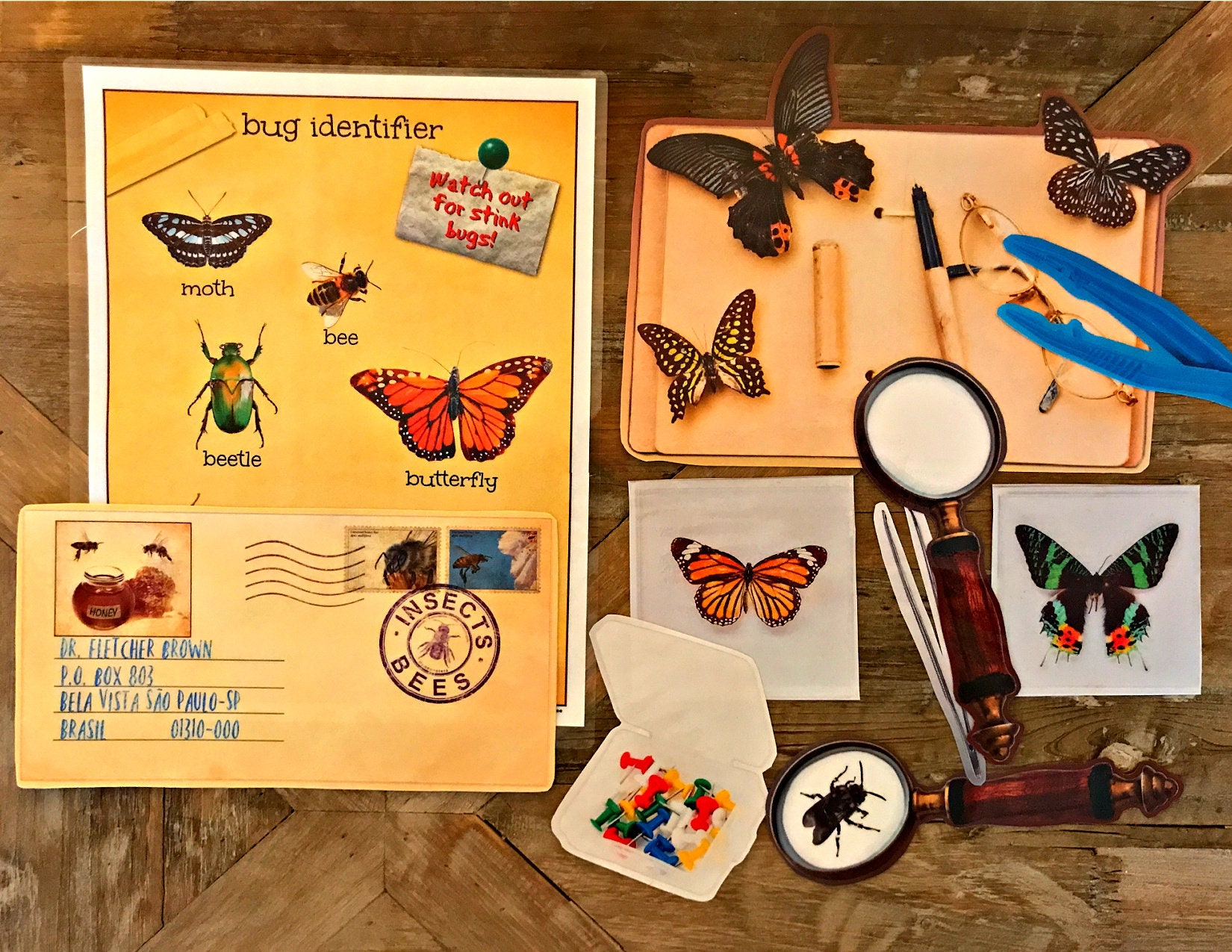 Bug Collector Dramatic Play Bug Activity Pretend Play Bug Bulletin ...