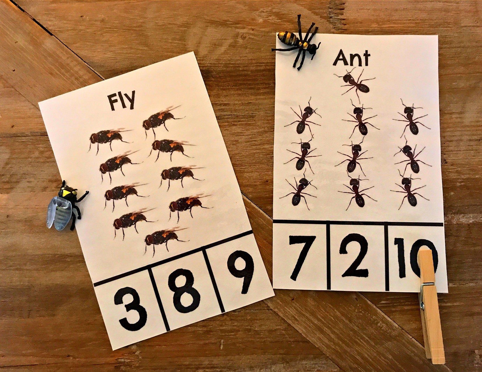 Bug Count and Clip Cards | Count and Clip Cards | Bugs | Printables ...