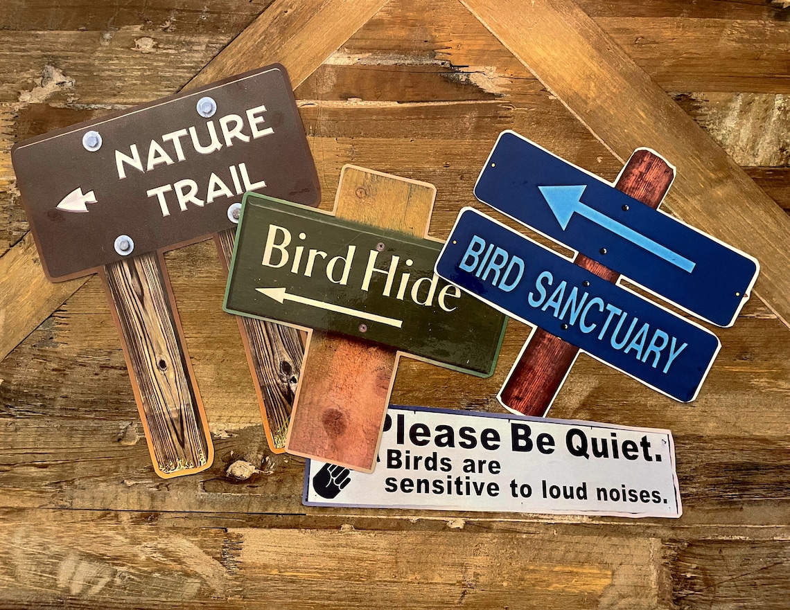 Bird Watching Dramatic Play | Science Pretend Play | Prek Pretend Play ...