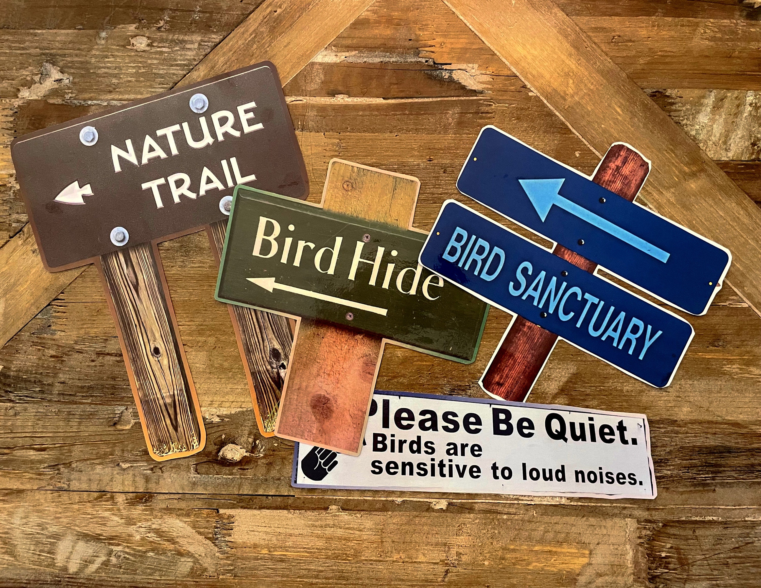 Bird Watching Dramatic Play | Science Pretend Play | Prek Pretend Play ...