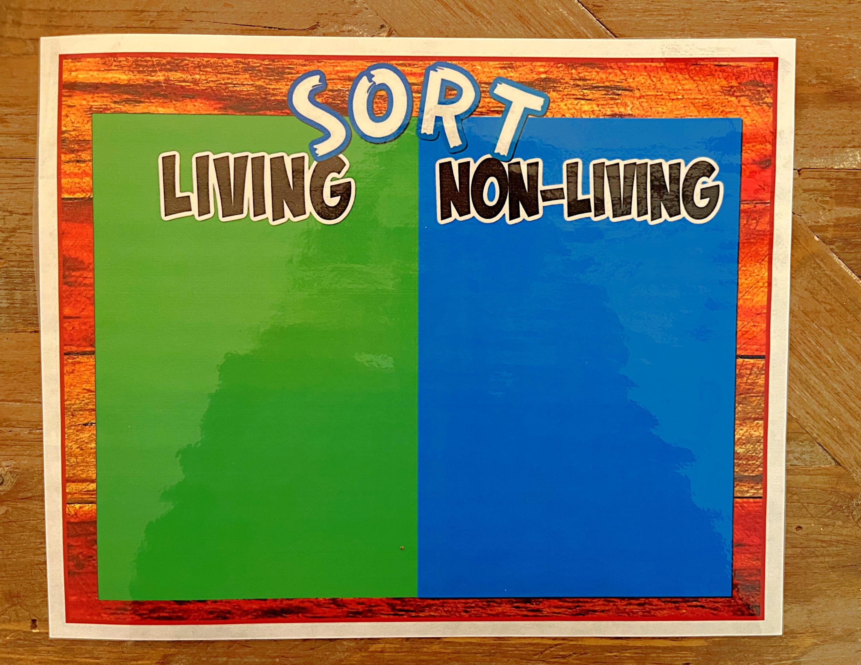 Living and Non-living Sorting | Sensory Bin Center Activity | Sorting ...