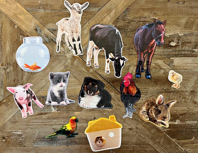 House Pet Farm Animal Sorting Mats | Prek Kindergarten Animal ...