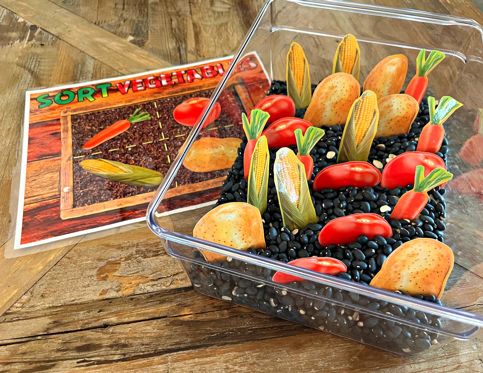 Vegetable Sorting Sensory Bin | Vegetable Sorting | Sensory Bin ...