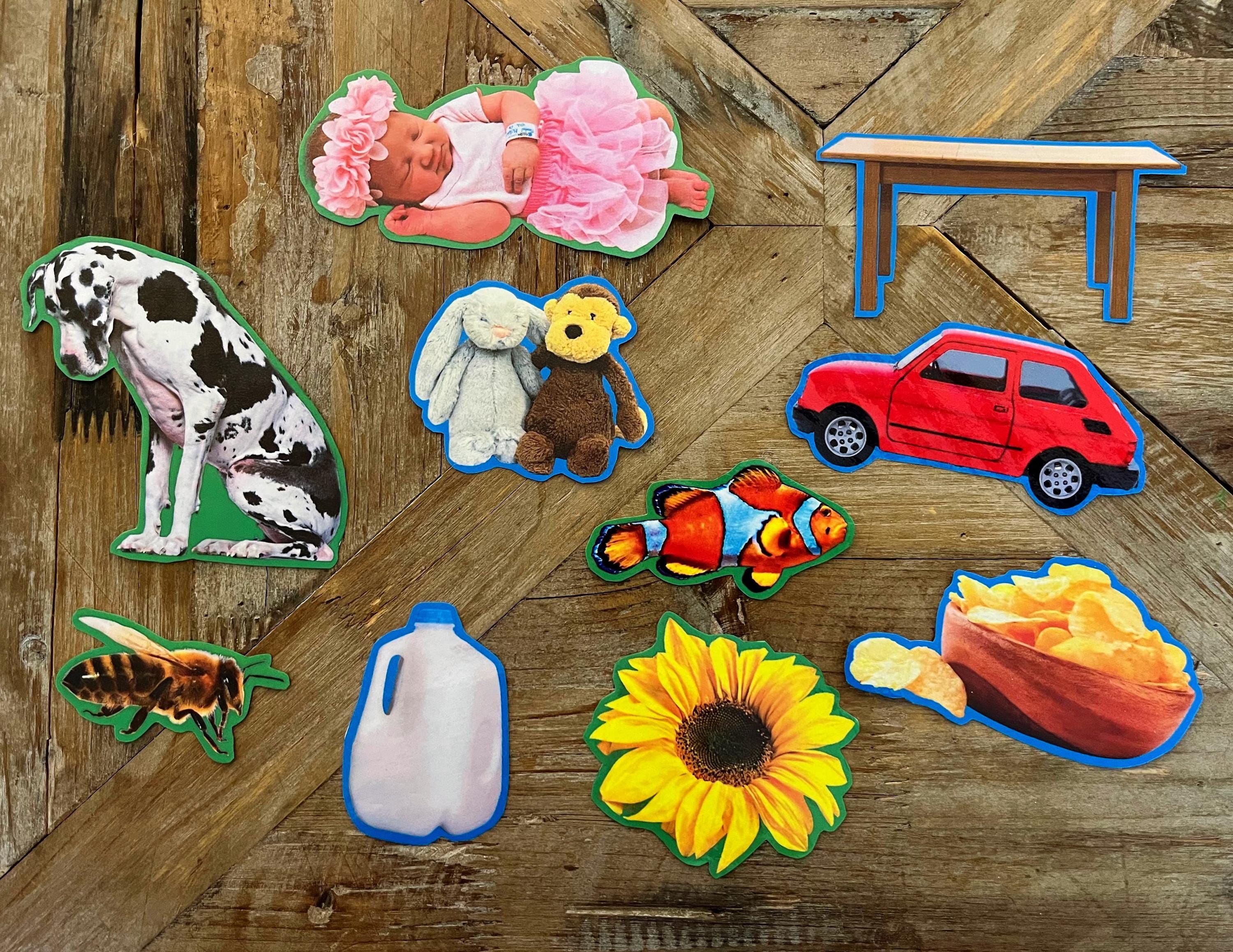 Living and Non-living Sorting | Sensory Bin Center Activity | Sorting ...