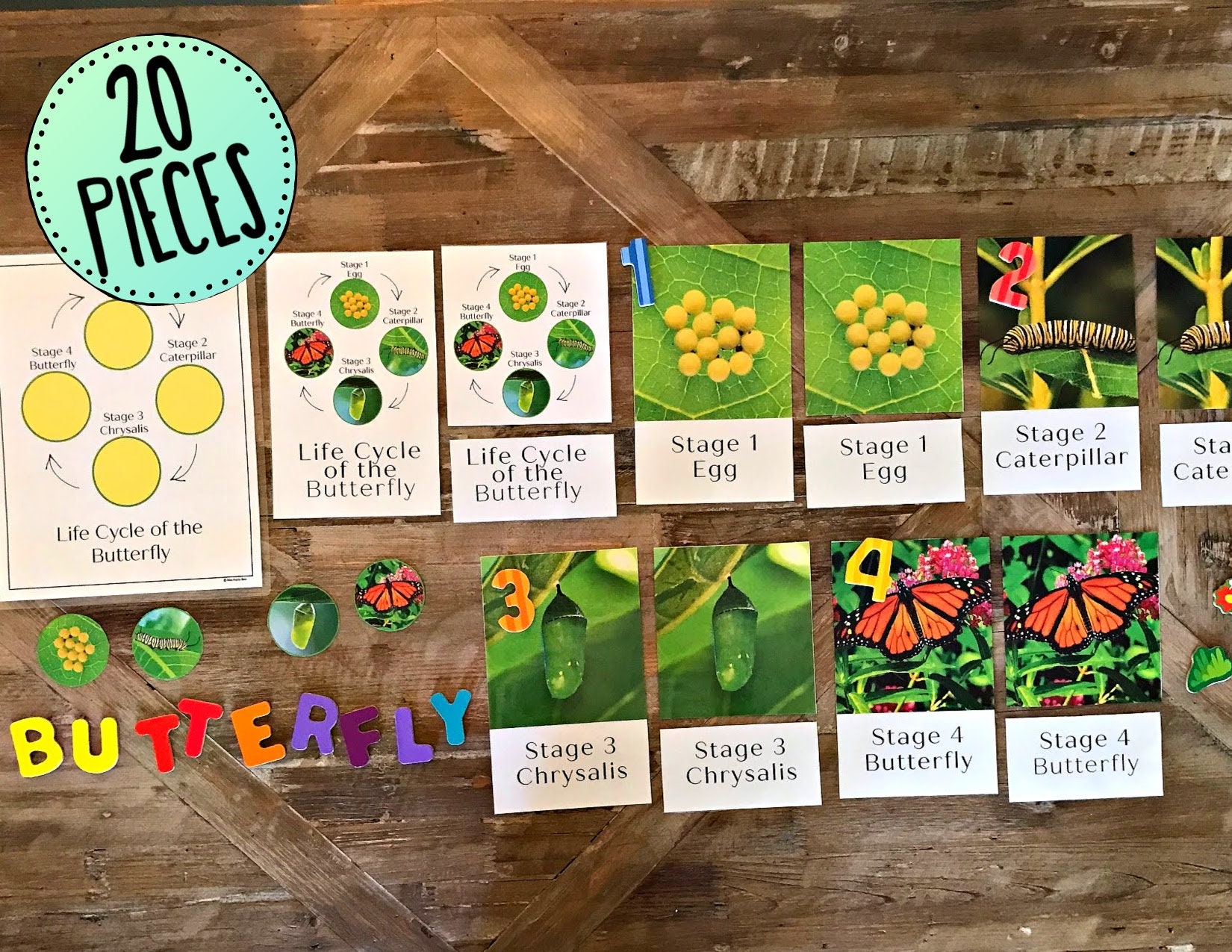 Life Cycle 3-part Cards Life Cycle of Bee Lifecycle of Butterfly Life ...