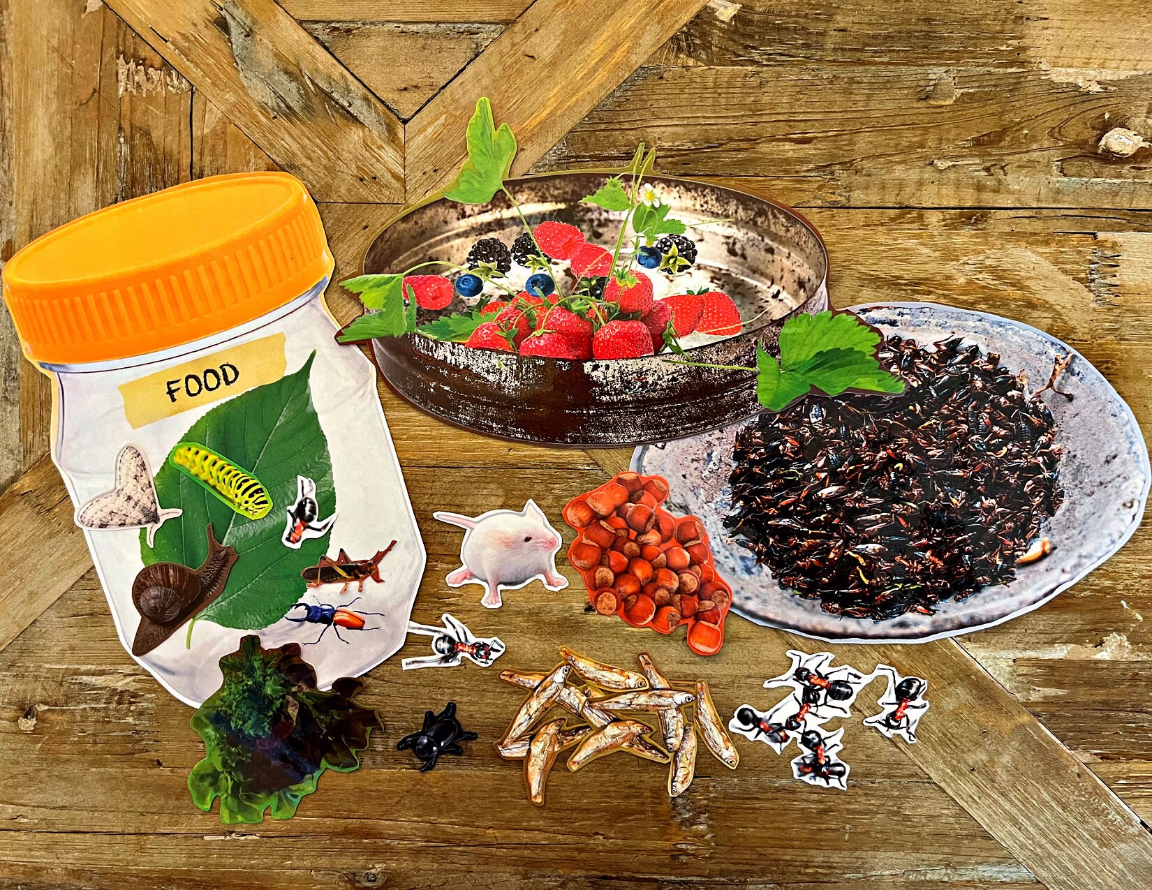 Wildlife Center Dramatic Play | Animal Pretend Play | Preschool Play ...