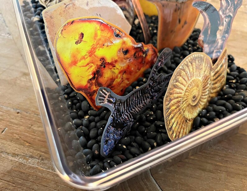 Dinosaur Dig Sensory Bin | Fossil Activity | Sensory Bin Activity ...