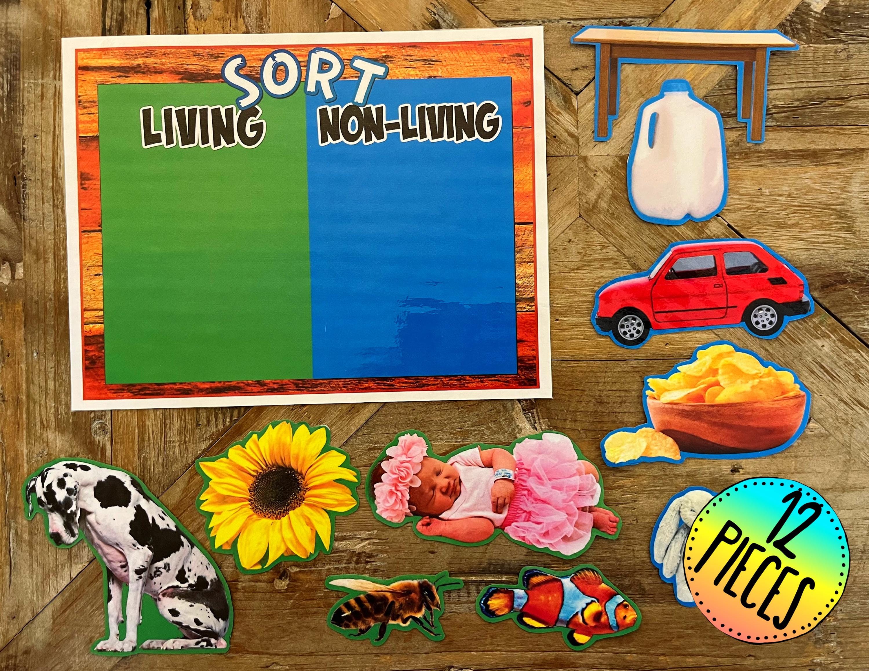 Living and Non-living Sorting | Sensory Bin Center Activity | Sorting ...