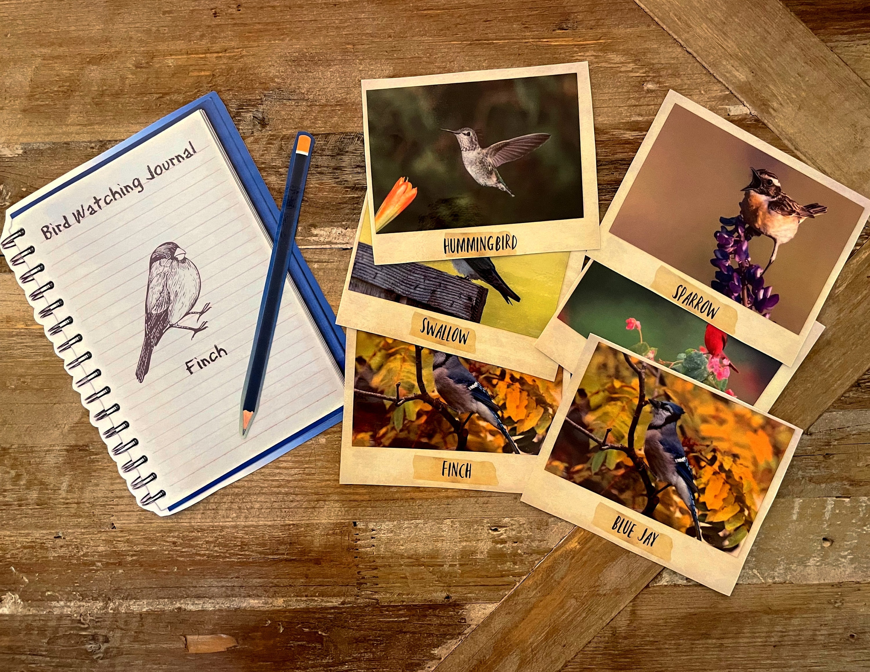 Bird Watching Dramatic Play | Science Pretend Play | Prek Pretend Play ...