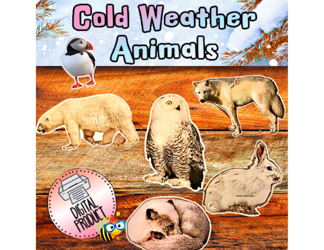 Winter Animal Cutouts Cold Weather Animals Winter Printable Animal Cut ...