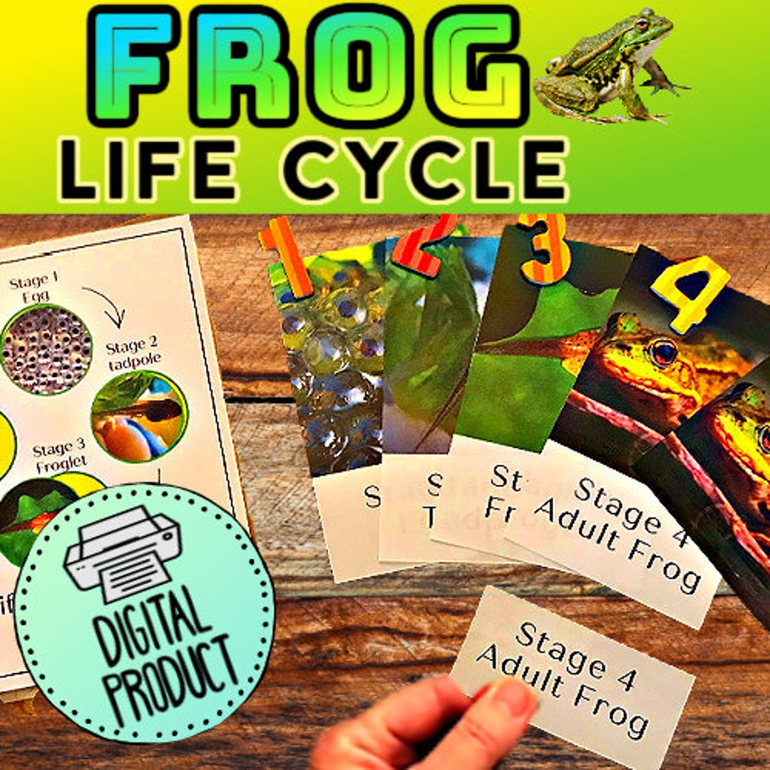 Life Cycle of a Frog Frog Lifecycle Three-part Cards 4 - Etsy
