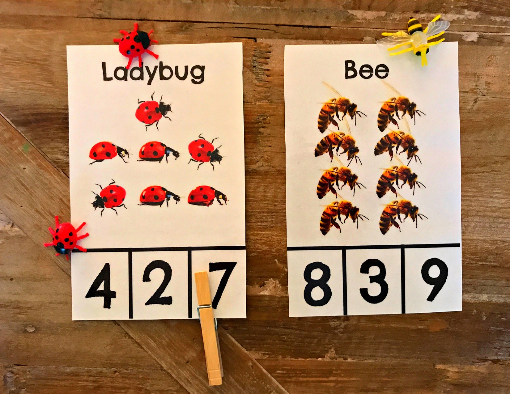 Bug Count and Clip Cards | Count and Clip Cards | Bugs | Printables ...