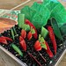 Make a Salad Sensory Bin | Vegetable Activity | Sensory Bin Activity ...