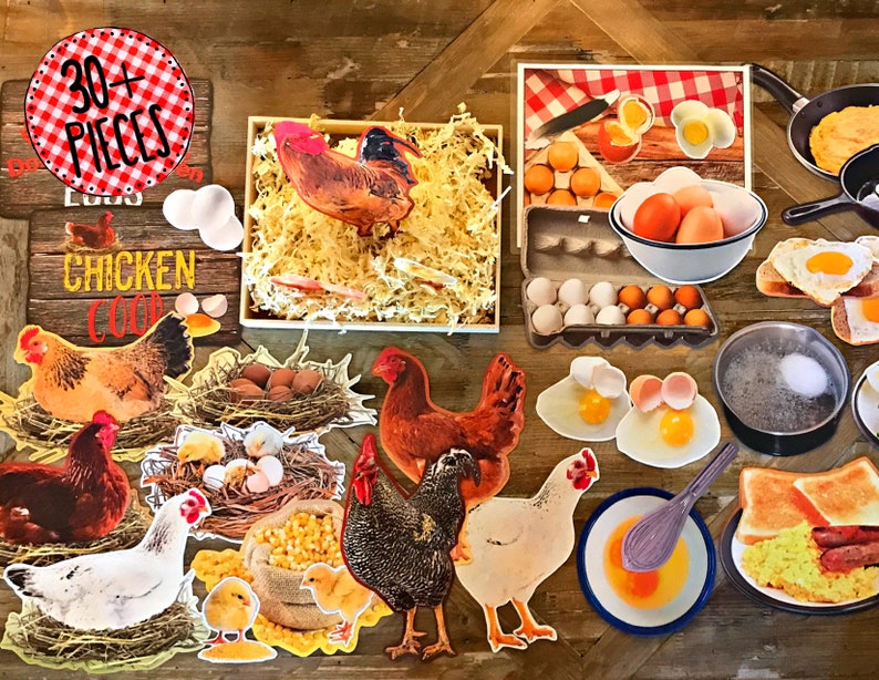 Dramatic Play Farm Chicken Life Cycle Life Cycle Chicken Farm Activity ...