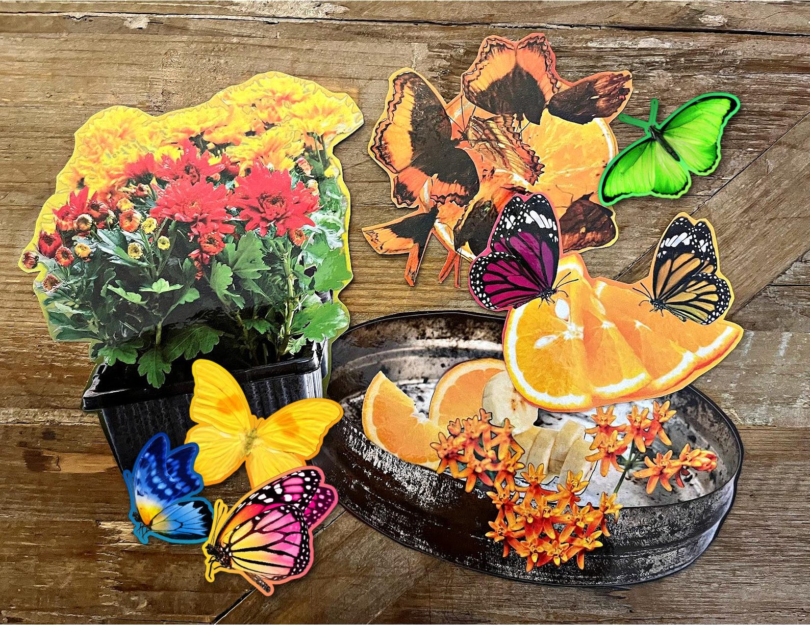 Butterfly Nursery Dramatic Play | Butterfly Pretend Play | Butterfly ...