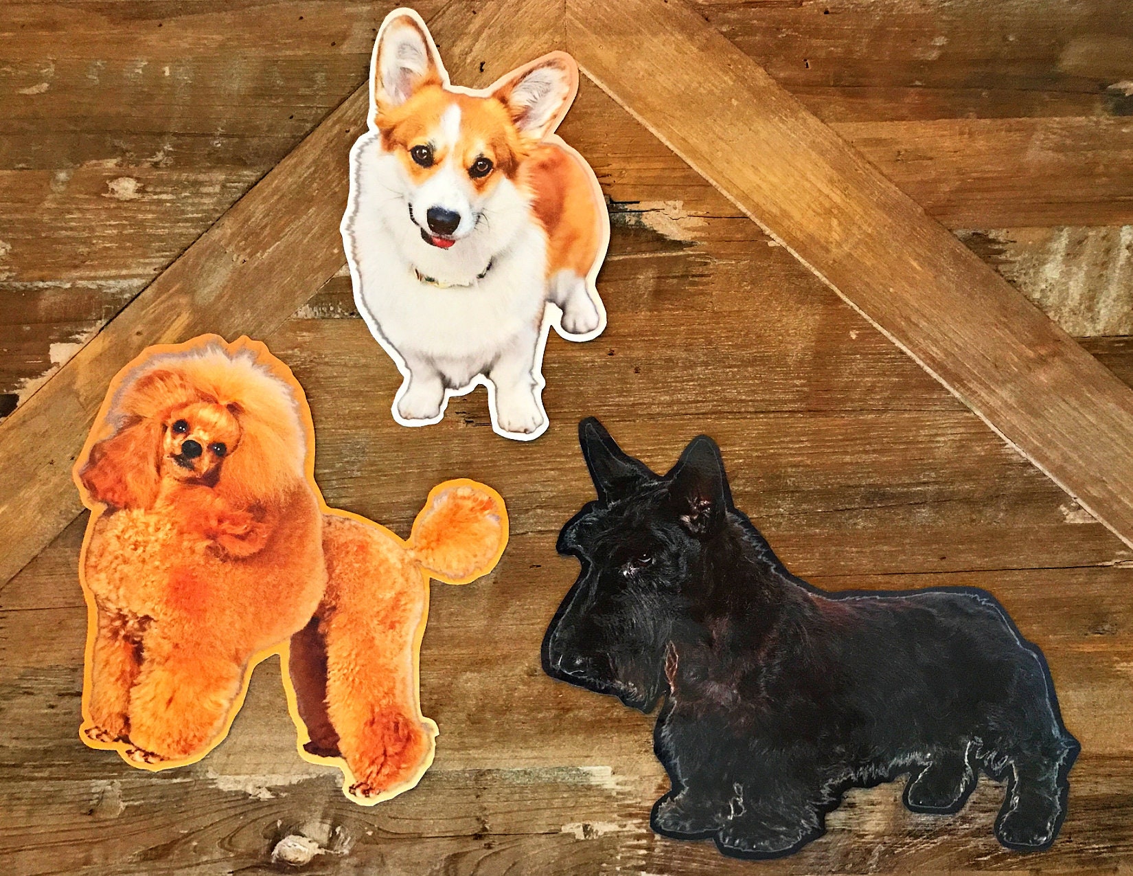 Dog Show Dramatic Play | Pretend Play Dogs | Printables| Preschool Play ...