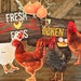 Dramatic Play Farm Chicken Life Cycle Life Cycle Chicken Farm Activity ...
