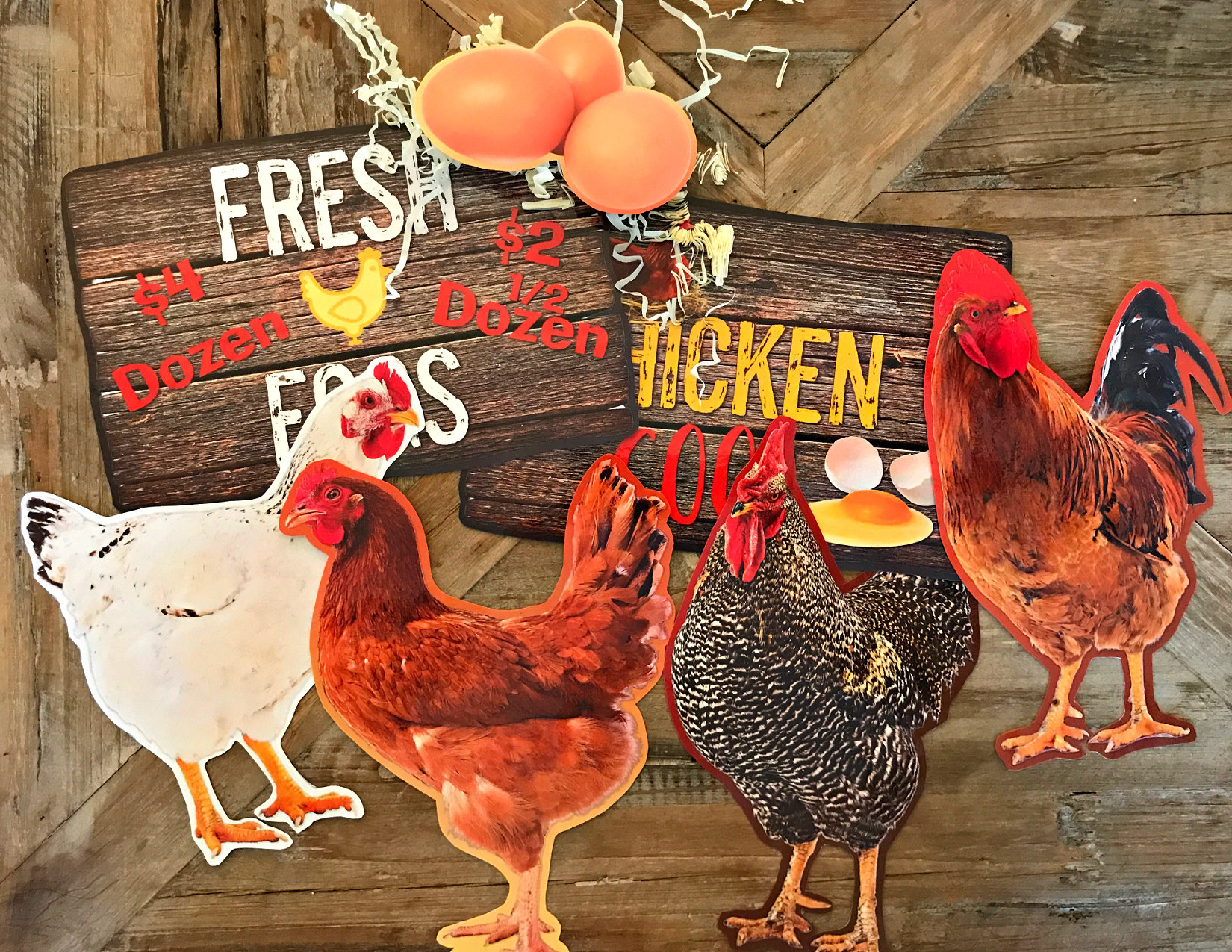 Dramatic Play Farm Chicken Life Cycle Life Cycle Chicken Farm Activity ...