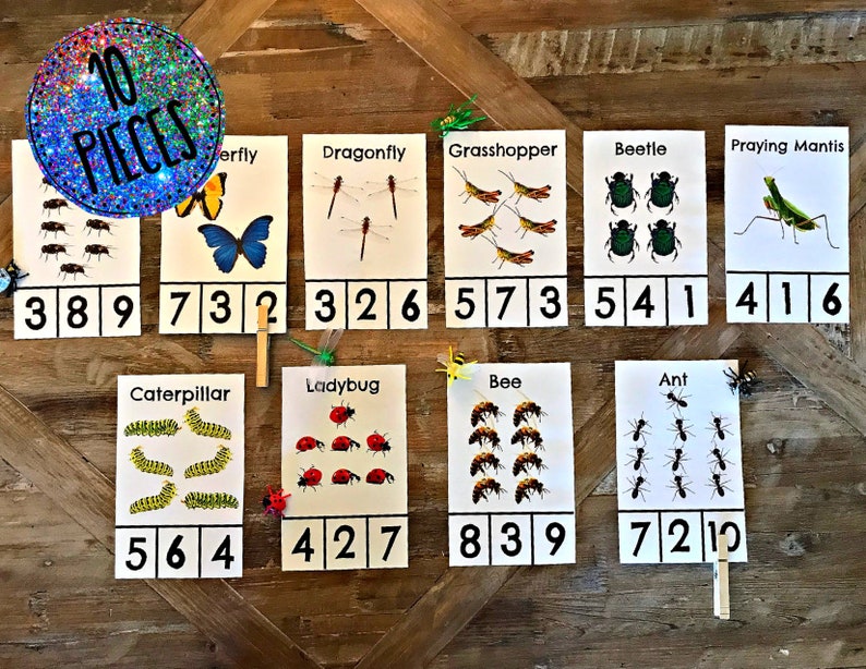 Bug Count and Clip Cards | Count and Clip Cards | Bugs | Printables ...