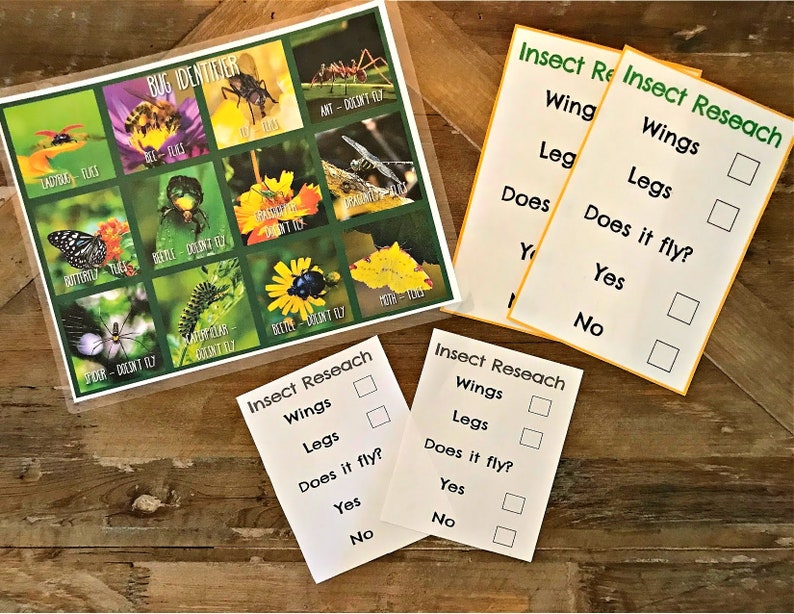 Science Activities | Animal Flashcards | Bug Flashcards | Science ...