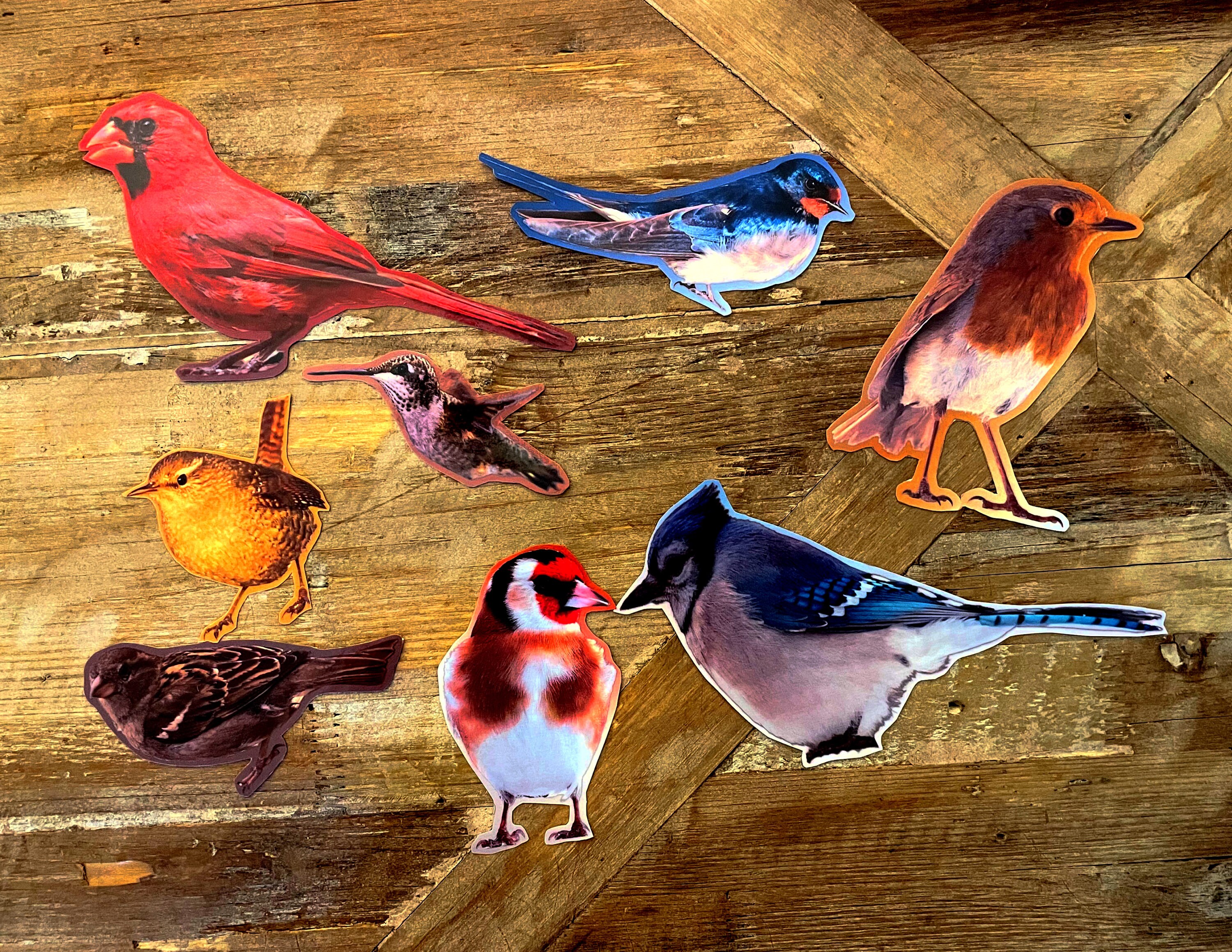 Bird Watching Dramatic Play | Science Pretend Play | Prek Pretend Play ...