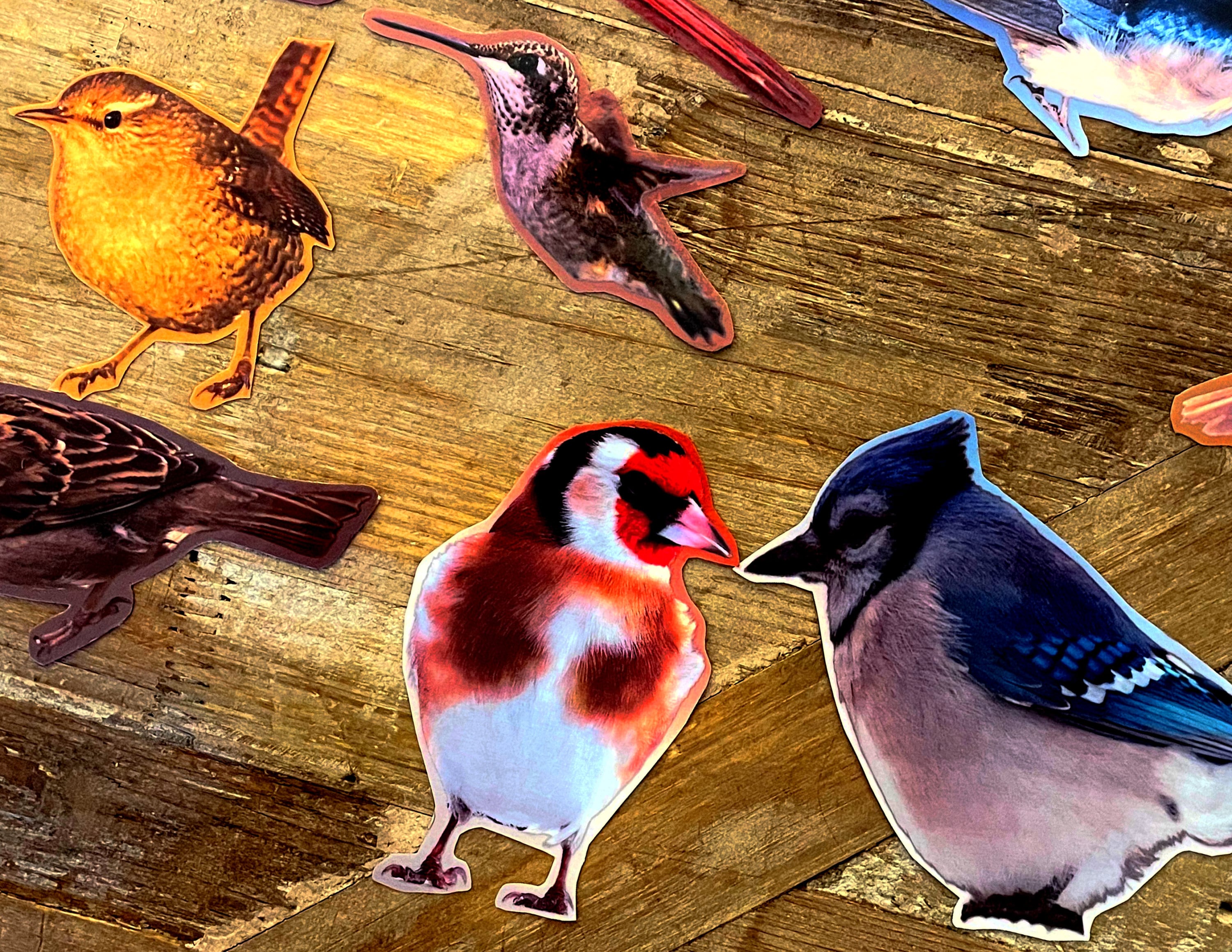 Bird Watching Dramatic Play Science Pretend Play Prek Pretend Play ...