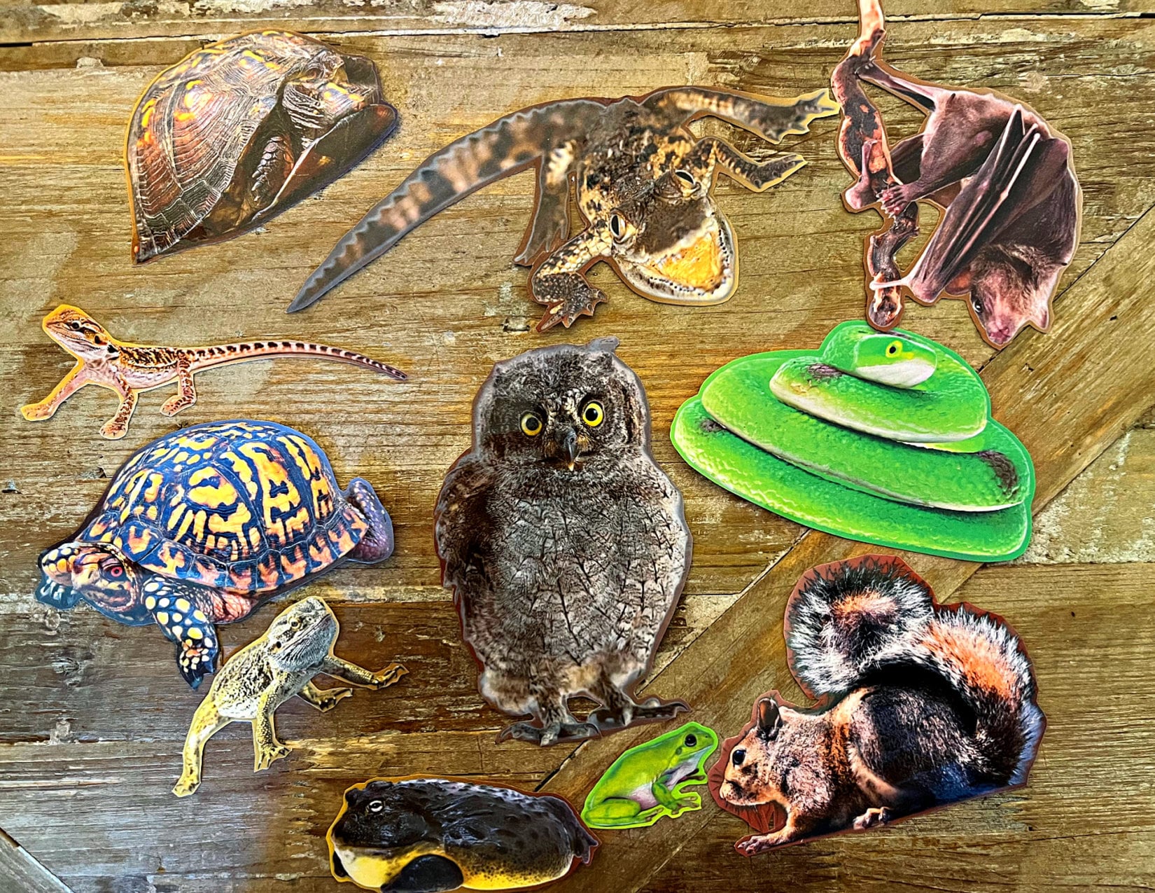 Wildlife Center Dramatic Play | Animal Pretend Play | Preschool Play ...