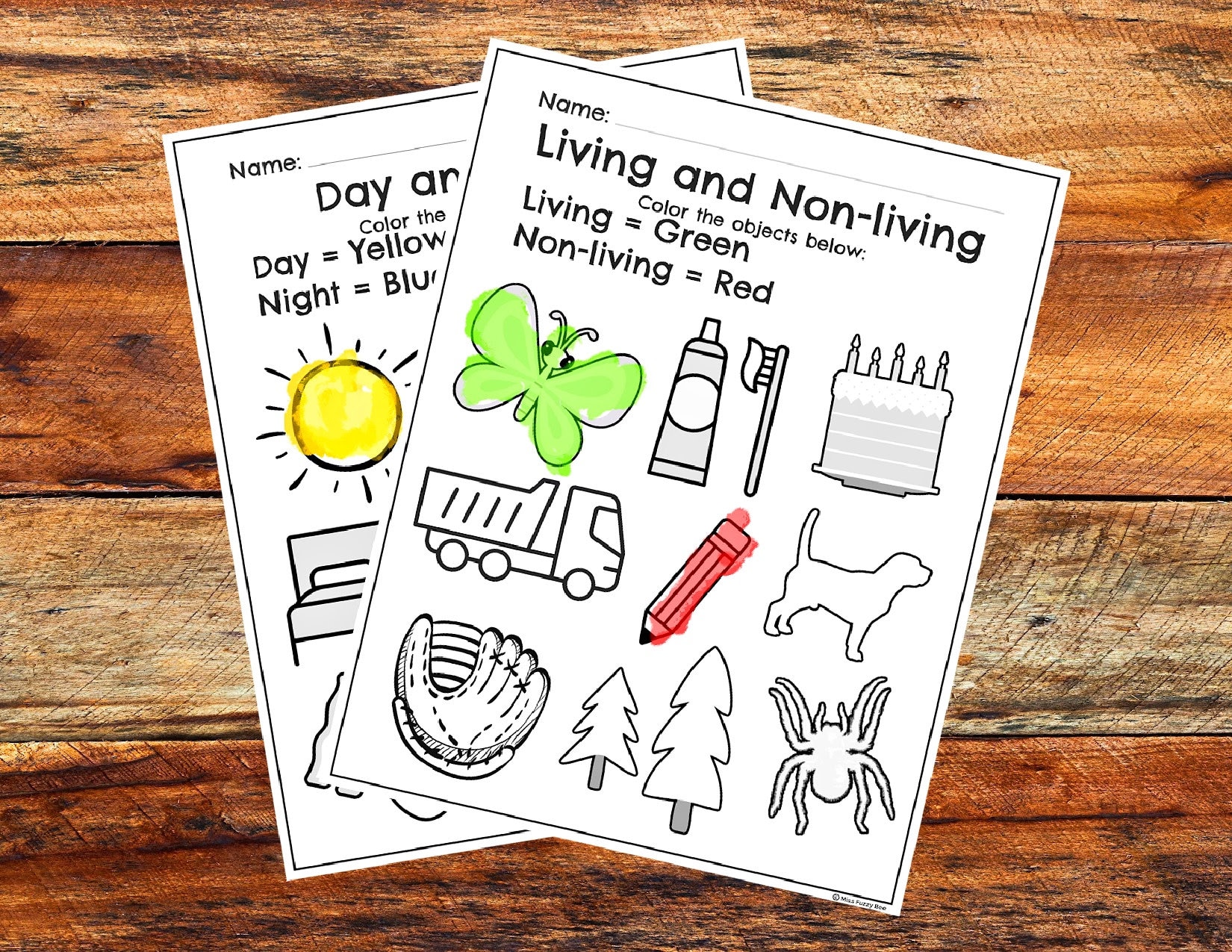 Living and Non-living Activity Night and Day Activity Living Activity ...