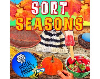 Four Seasons Sorting Mats for Toddlers - Etsy Canada