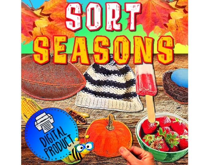 Four Seasons Sorting Mats for Toddlers - Etsy Canada
