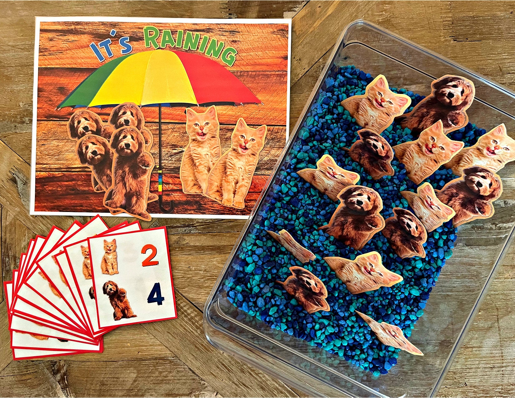 Counting Sensory Bin | Counting Activity | Sensory Bin Activity | Seek ...