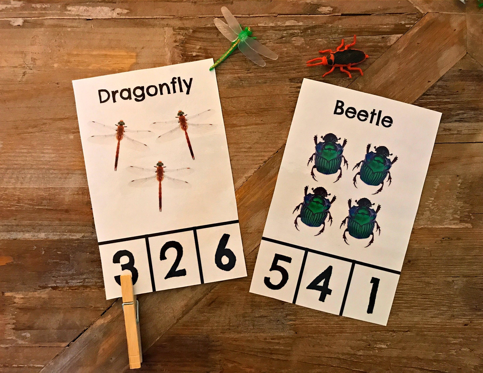 Bug Count and Clip Cards | Count and Clip Cards | Bugs | Printables ...