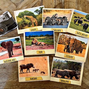 Safari Dramatic Play | Safari Pretend Play | Preschool Toy | Preschool ...