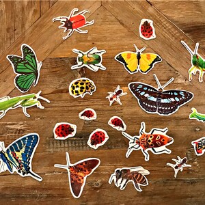 Bug Collector Dramatic Play | Bug Activity | Pretend Play | Bug ...