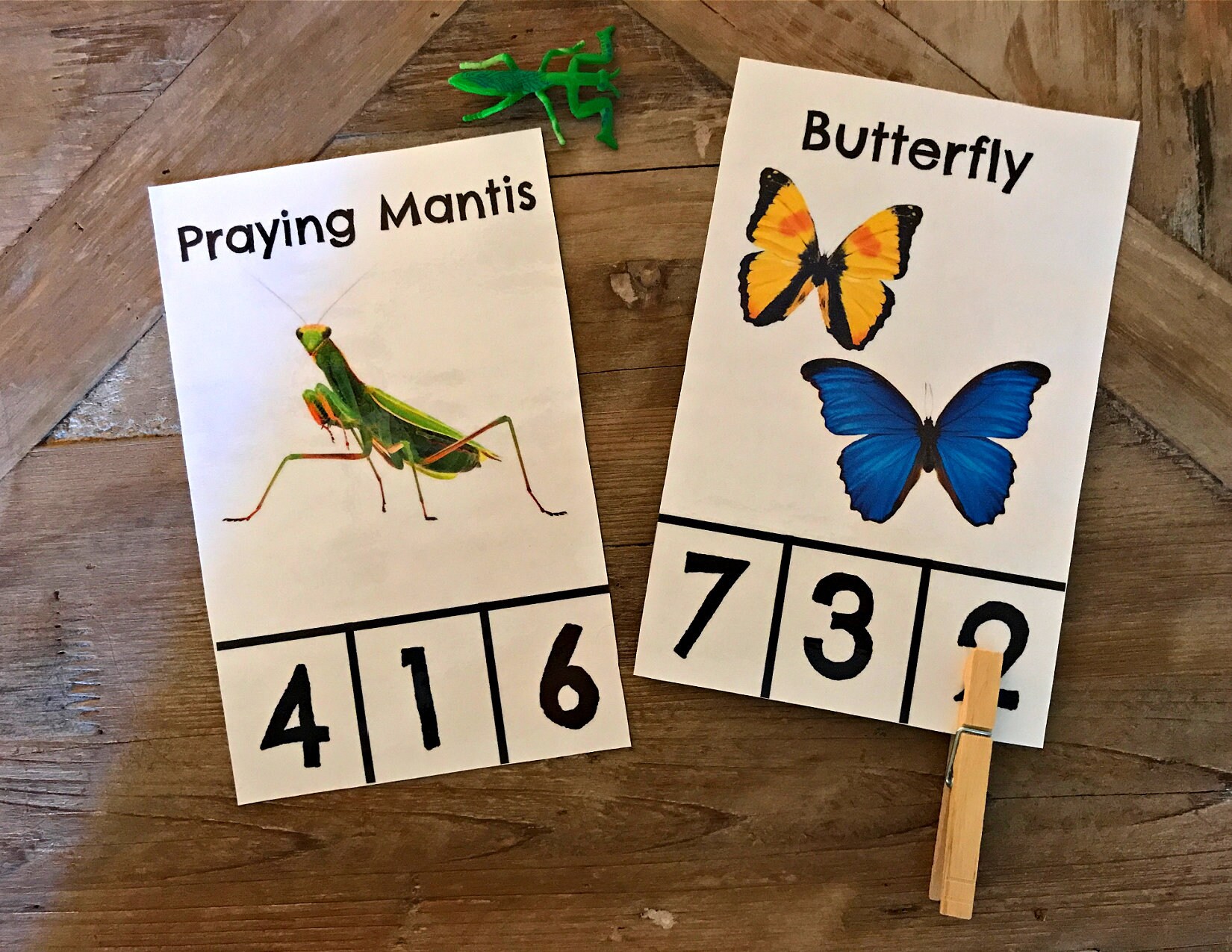 Bug Count and Clip Cards | Count and Clip Cards | Bugs | Printables ...