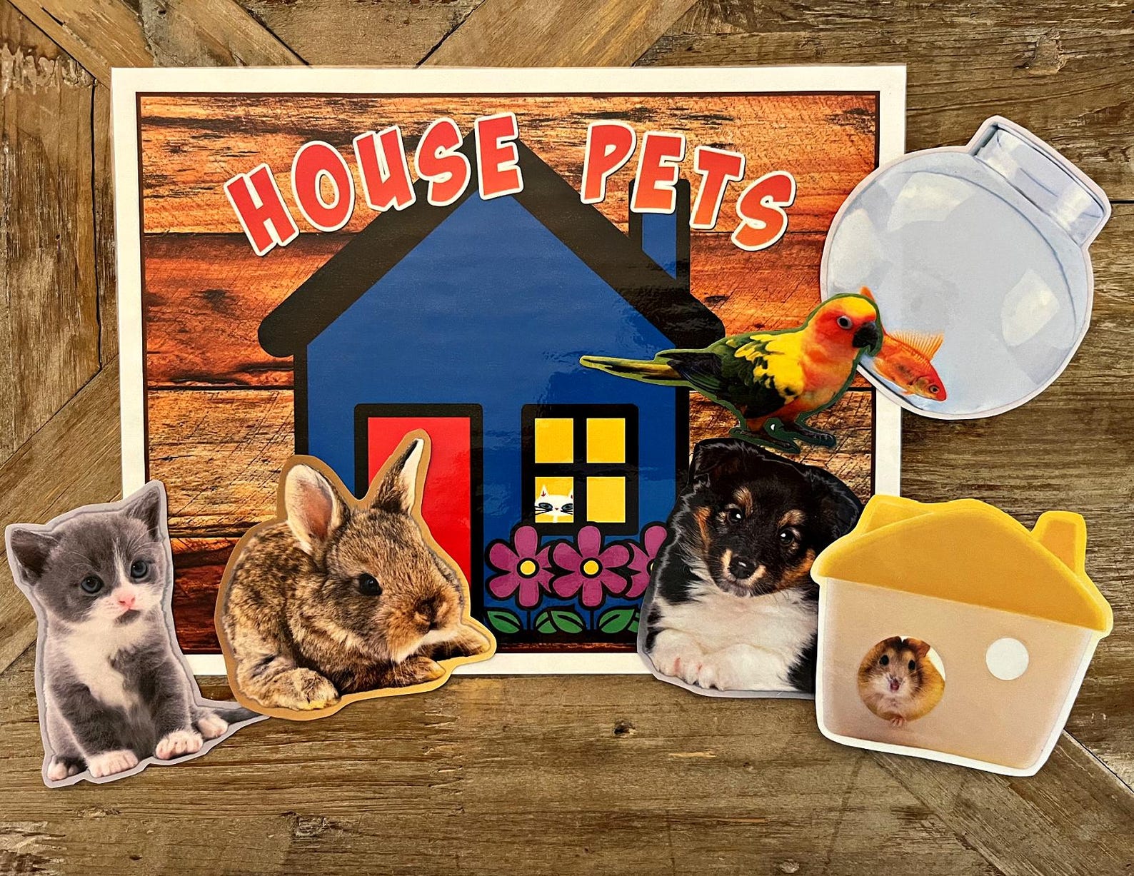 Animal Sorting | Animal Theme | Farm Animals | House Pets | Center ...