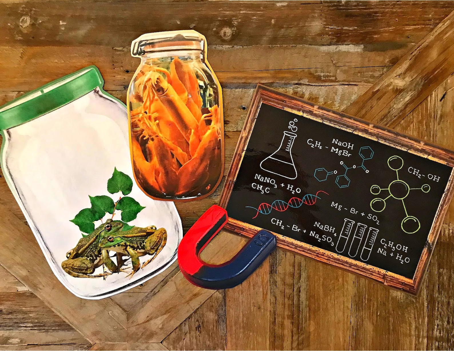 Science Lab Dramatic Play | Science Lab Pretend Play | Science Bulletin ...