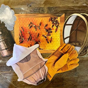 Bee Keeper Dramatic Play | Bee Pretend Play | Preschool Toy | Preschool ...