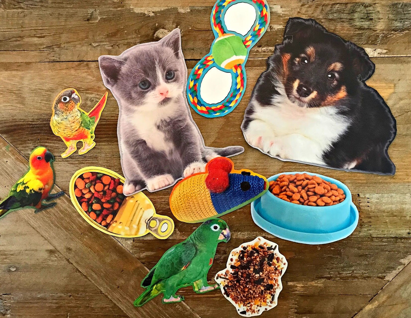 Pet Shop Dramatic Play | Pet Store Playset | Pretend Pets | Pet ...