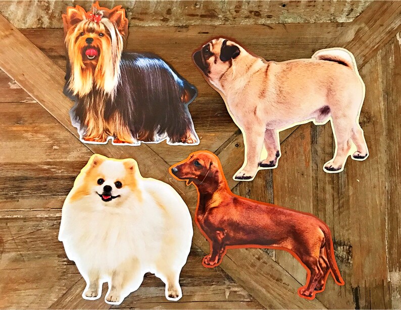 Dog Show Dramatic Play | Pretend Play Dogs | Printables| Preschool Play ...